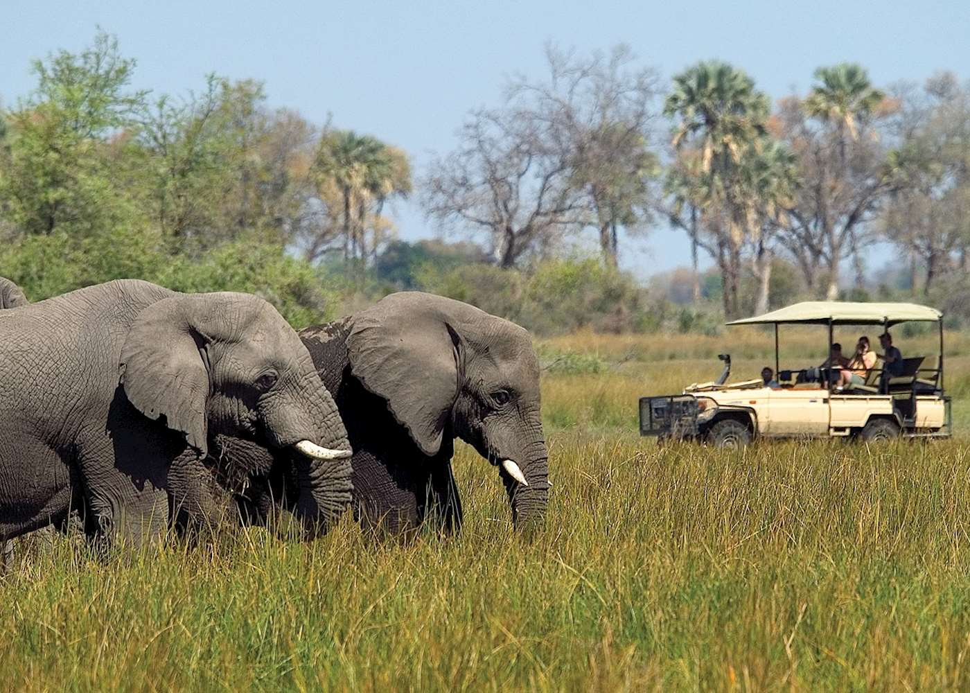 Visit The Okavango Delta | Tailor-Made Vacations | Audley Travel US