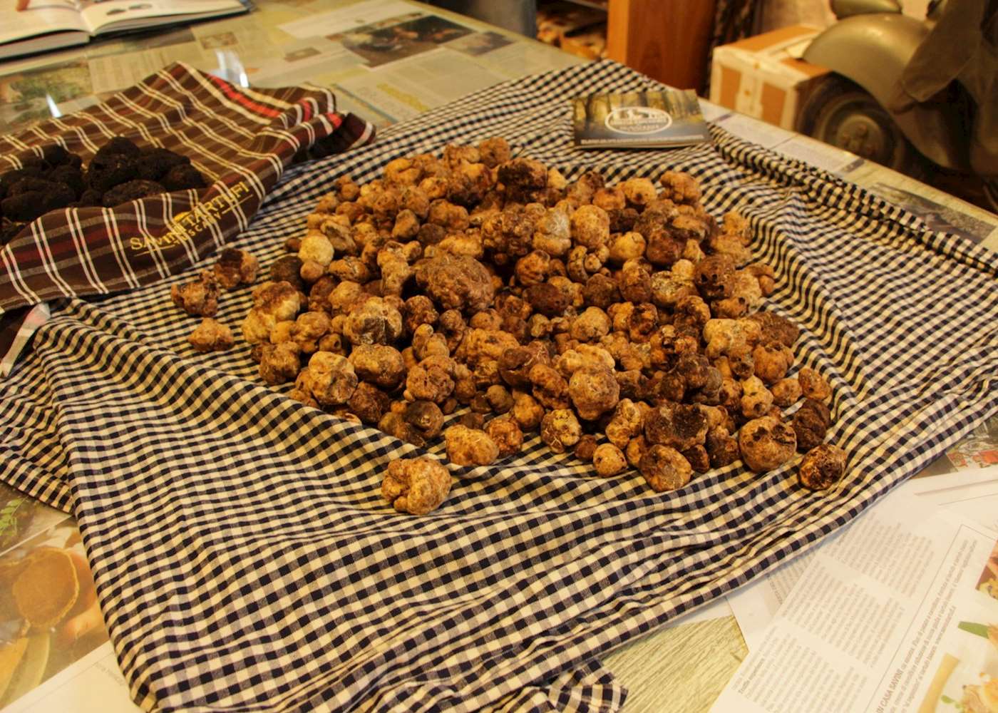 Truffle hunting and tasting lunch | Audley Travel US