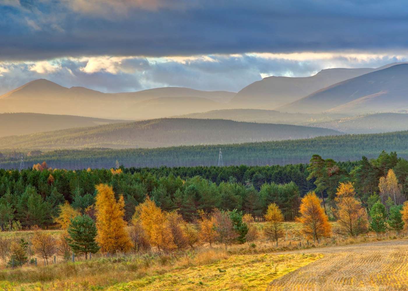 Explore Rothiemurchus Estate by Land Rover | Audley Travel US