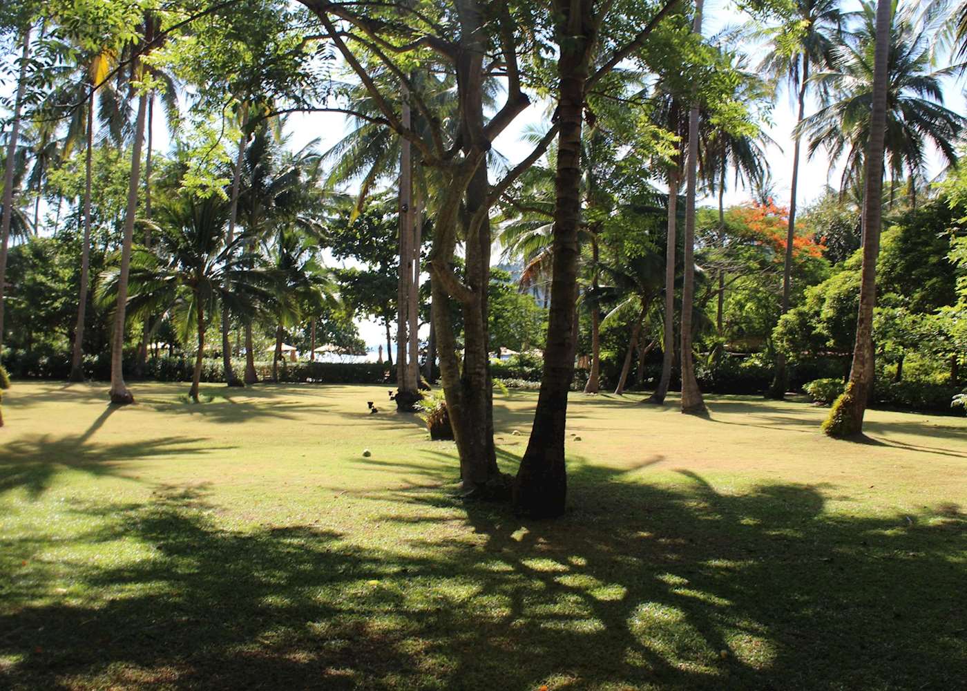 Rayavadee | Hotels in Krabi | Audley Travel US