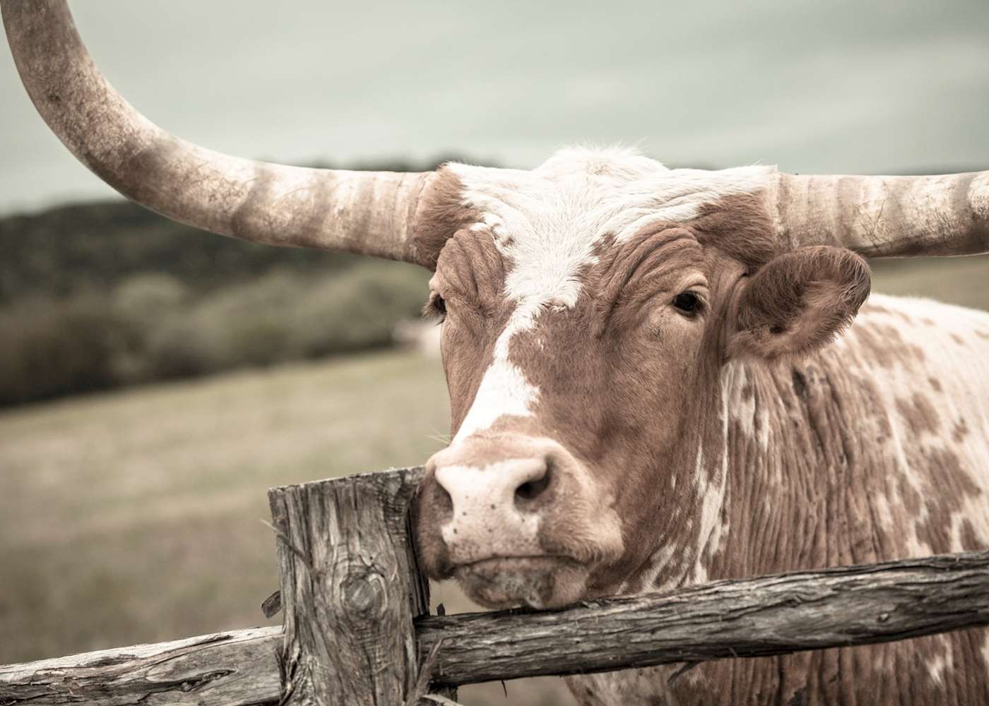 Wildcatter Ranch | Hotels in The USA | Audley Travel UK