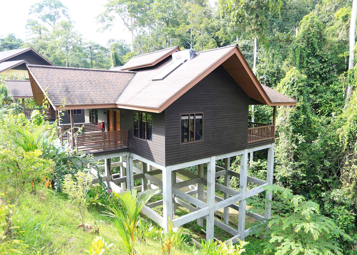 My Nature Resort | Hotels in Sepilok | Audley Travel UK