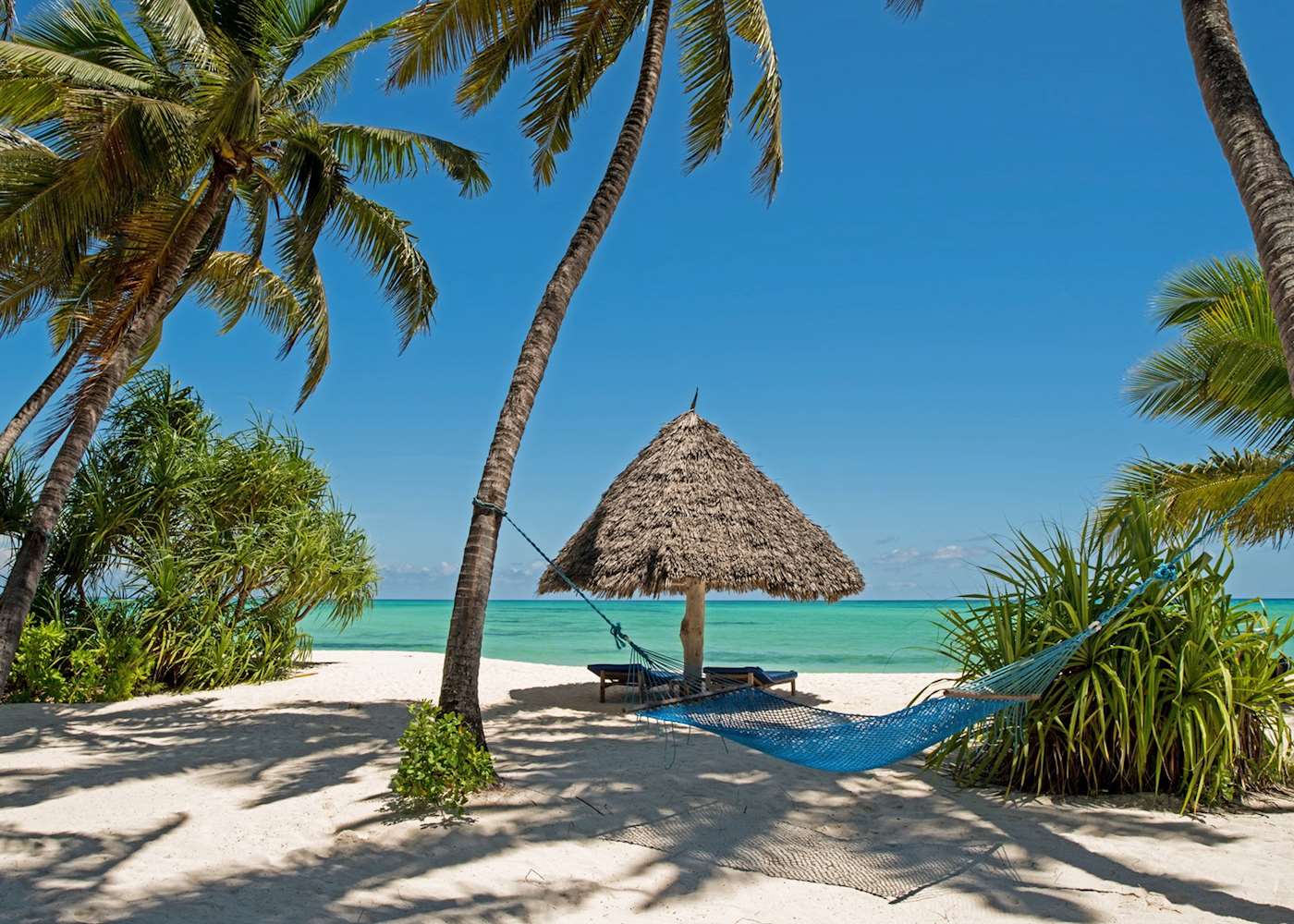 Pongwe Beach Hotel | Hotels in Zanzibar | Audley Travel UK