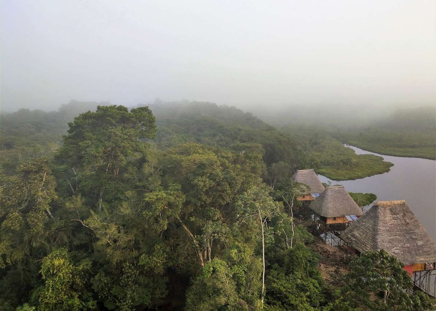 Napo Wildlife Center | Hotels in The Amazon | Audley Travel US
