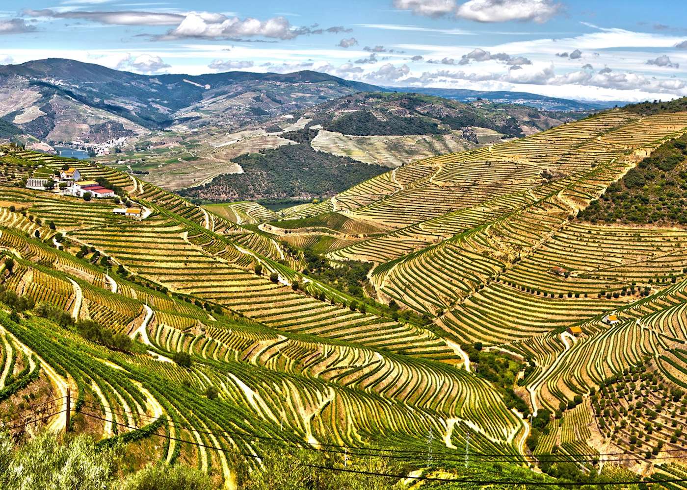 Visit Douro Valley, Portugal | Tailor-Made Trips | Audley Travel UK