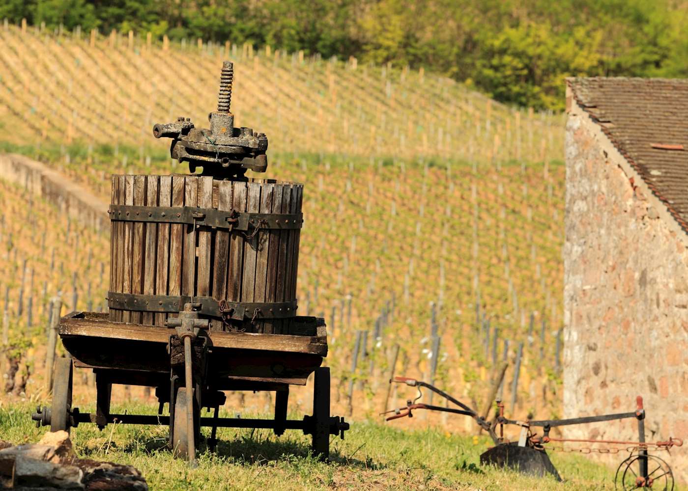 Tour of the Burgundy wine region | Audley Travel US