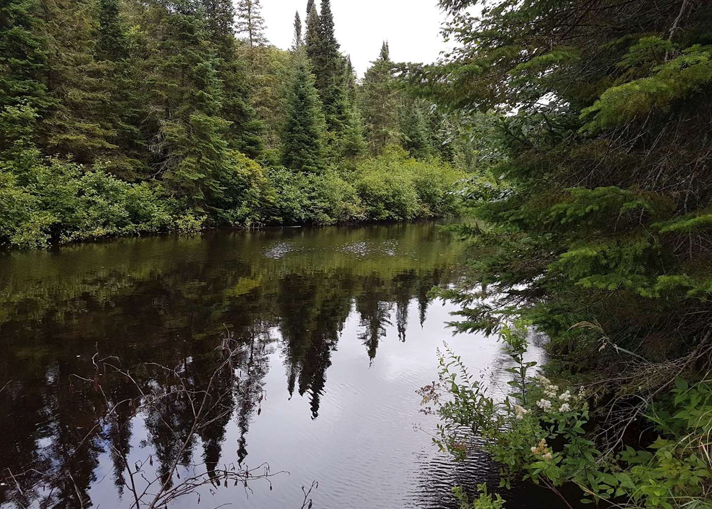 Visit Haliburton, Canada Default Theme | Audley Travel US