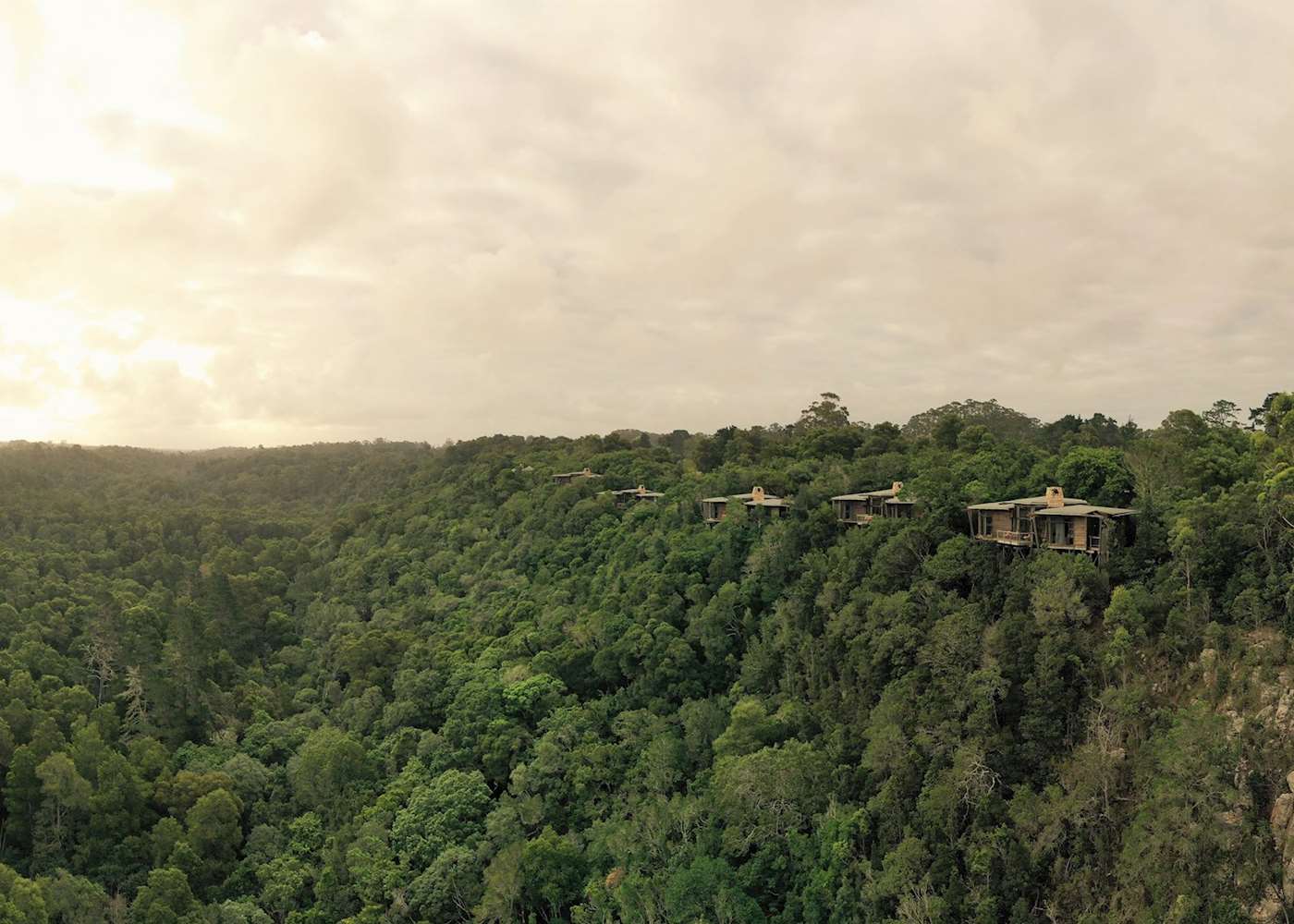 Tsala Treetop Lodge | Hotels in Plettenberg Bay | Audley Travel UK