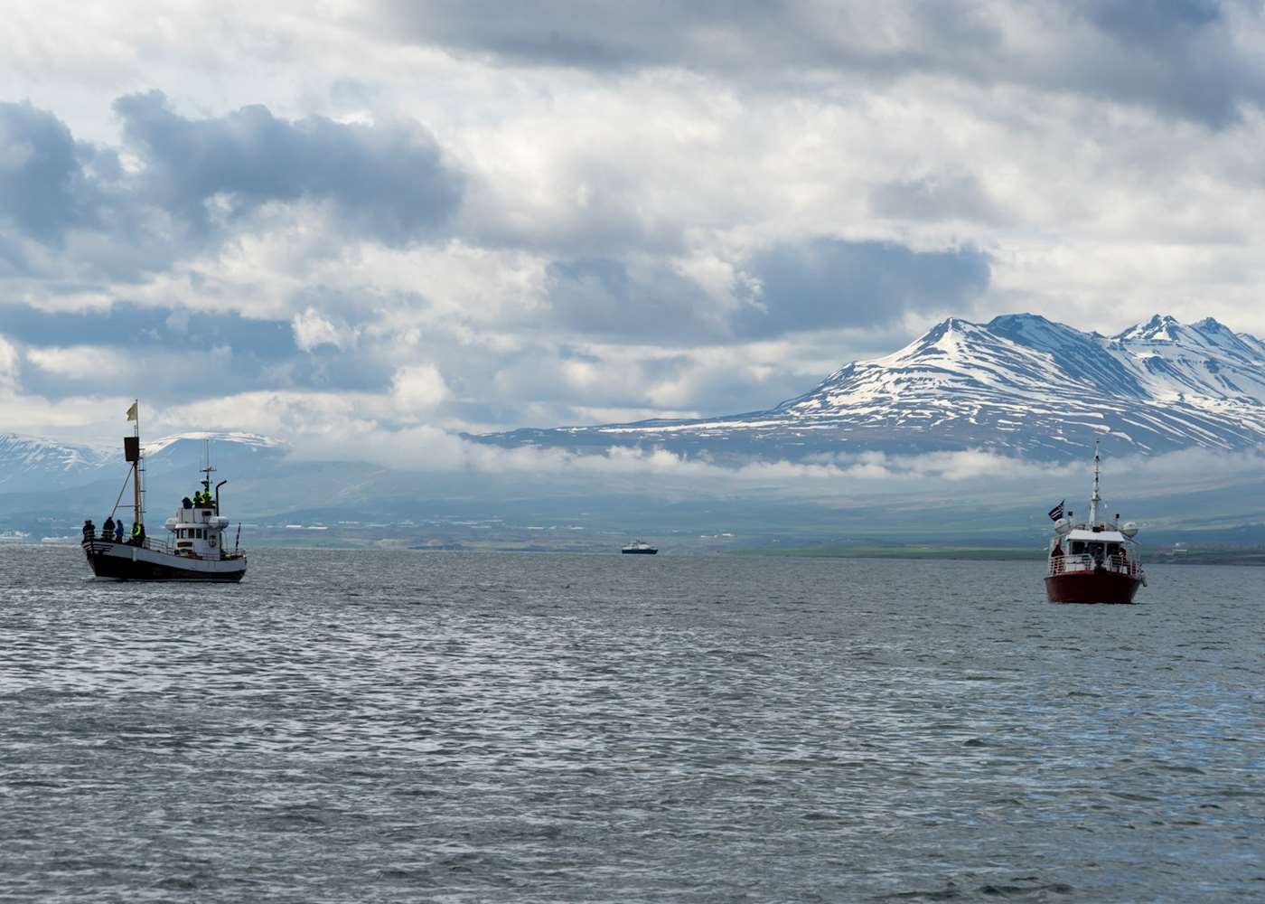 Hauganes whale watching & sea angling | Audley Travel US