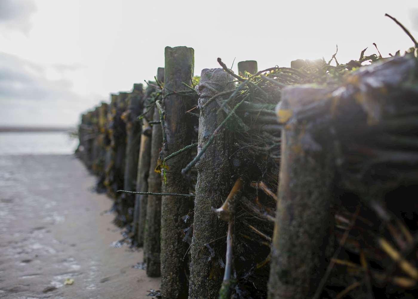 Visit Sylt on a trip to Germany | Audley Travel US