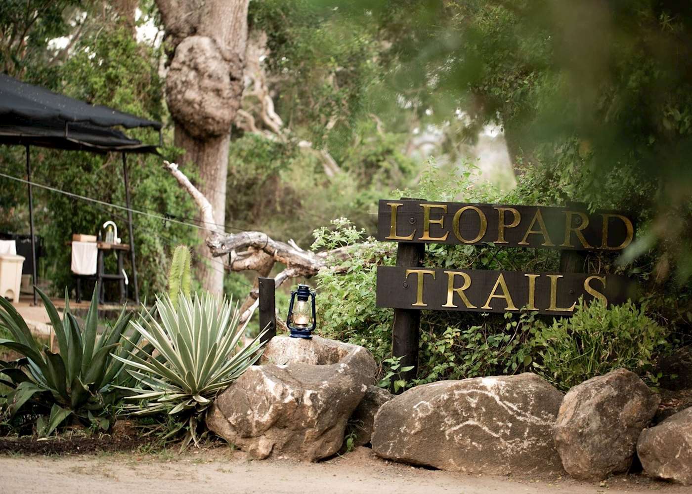 Leopard Trails | Hotels in Yala National Park | Audley Travel UK