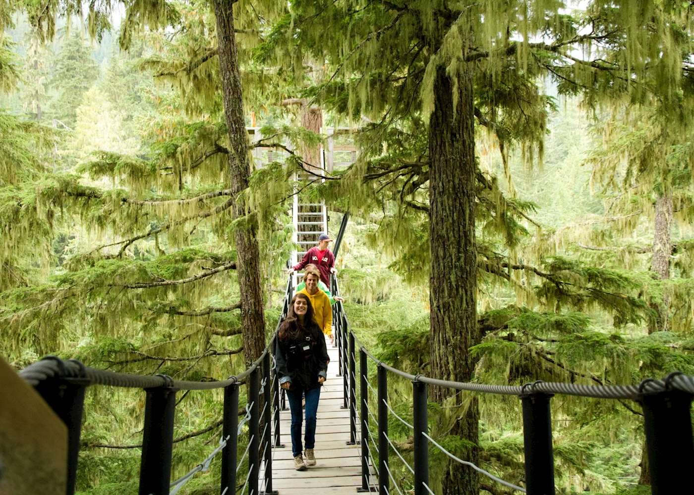 Tree Trek Canopy Walk, Canada | Audley Travel UK