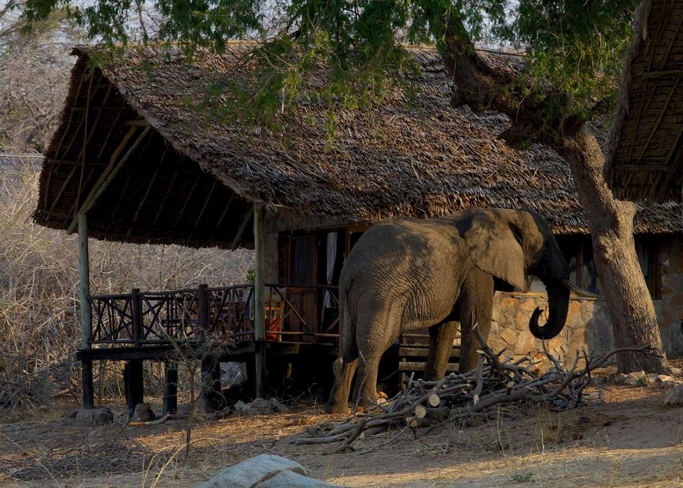 Ruaha River Lodge | Ruaha National Park | Audley Travel UK