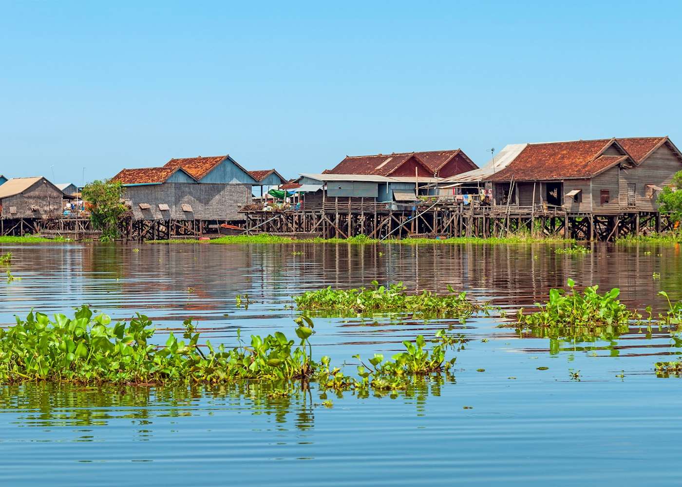Birdwatching at Prek Toal & Tonle Sap Lake | Audley Travel UK