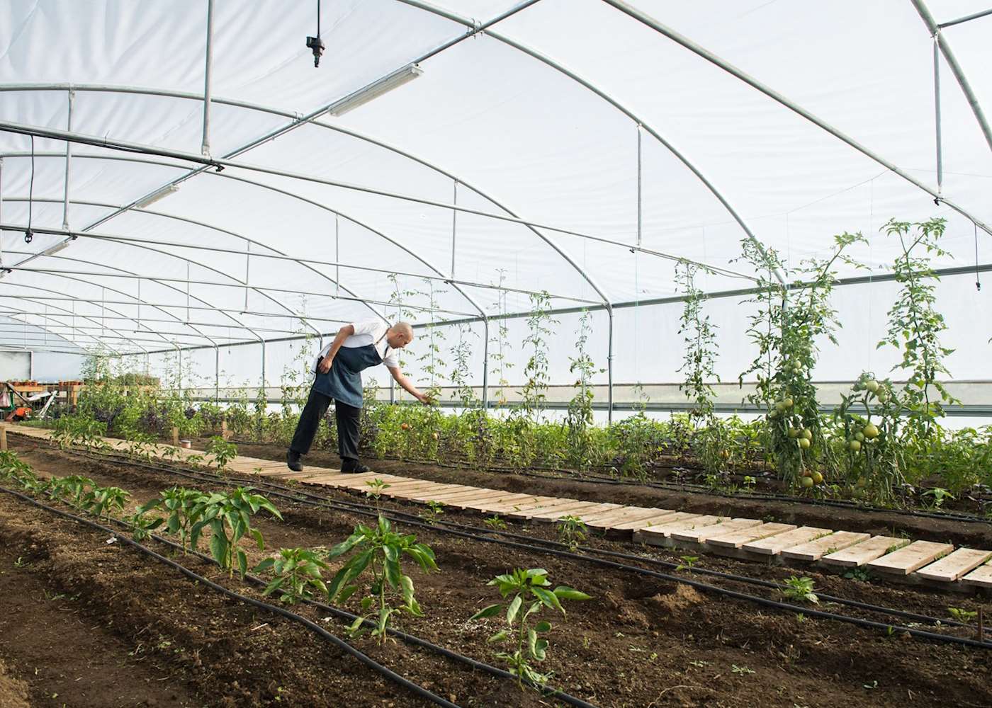 Hotel Awa | Hotels in Puerto Varas | Audley Travel UK