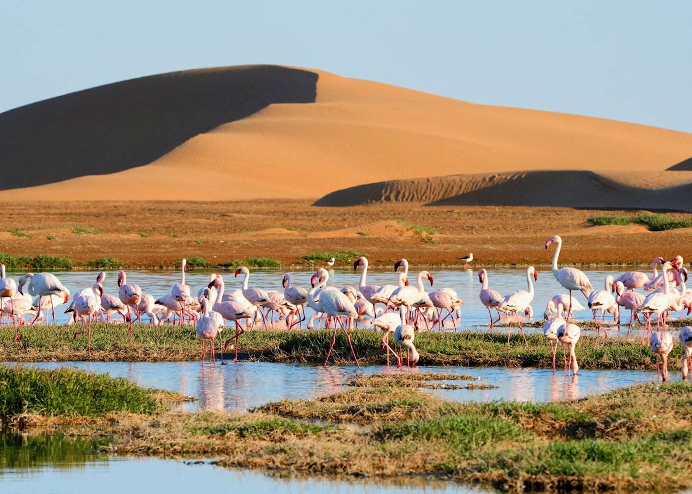 Visit Walvis Bay, Namibia | Tailor-made Vacations | Audley Travel US