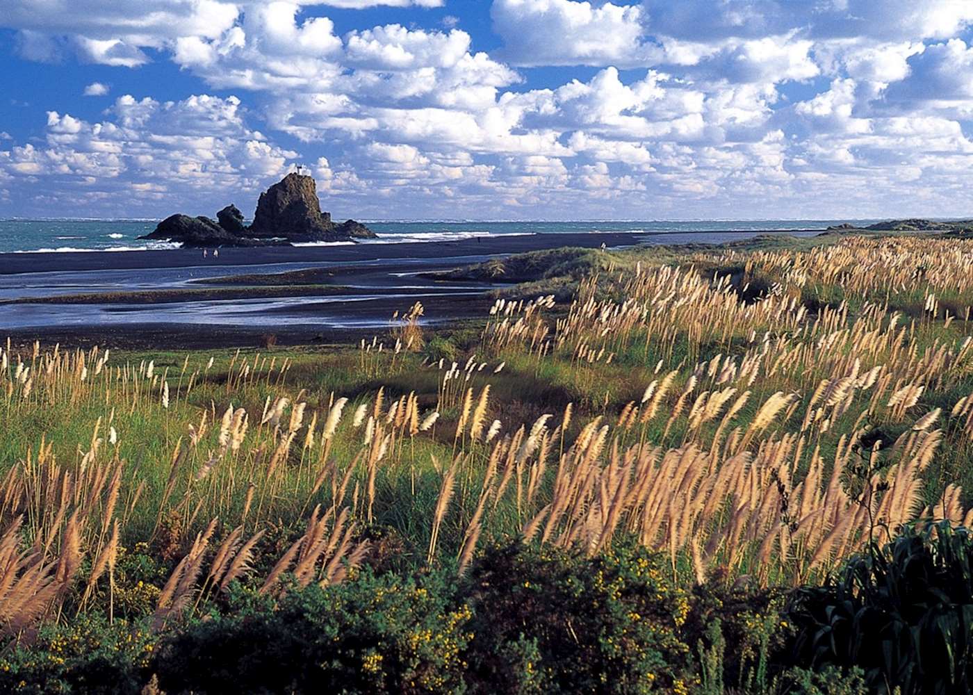 Visit Great Barrier Island, New Zealand | Audley Travel US