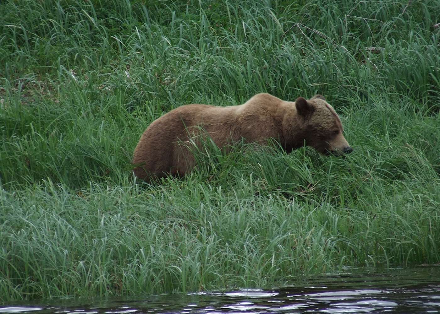 Knight Inlet Lodge Northern Vancouver Island | Audley Travel