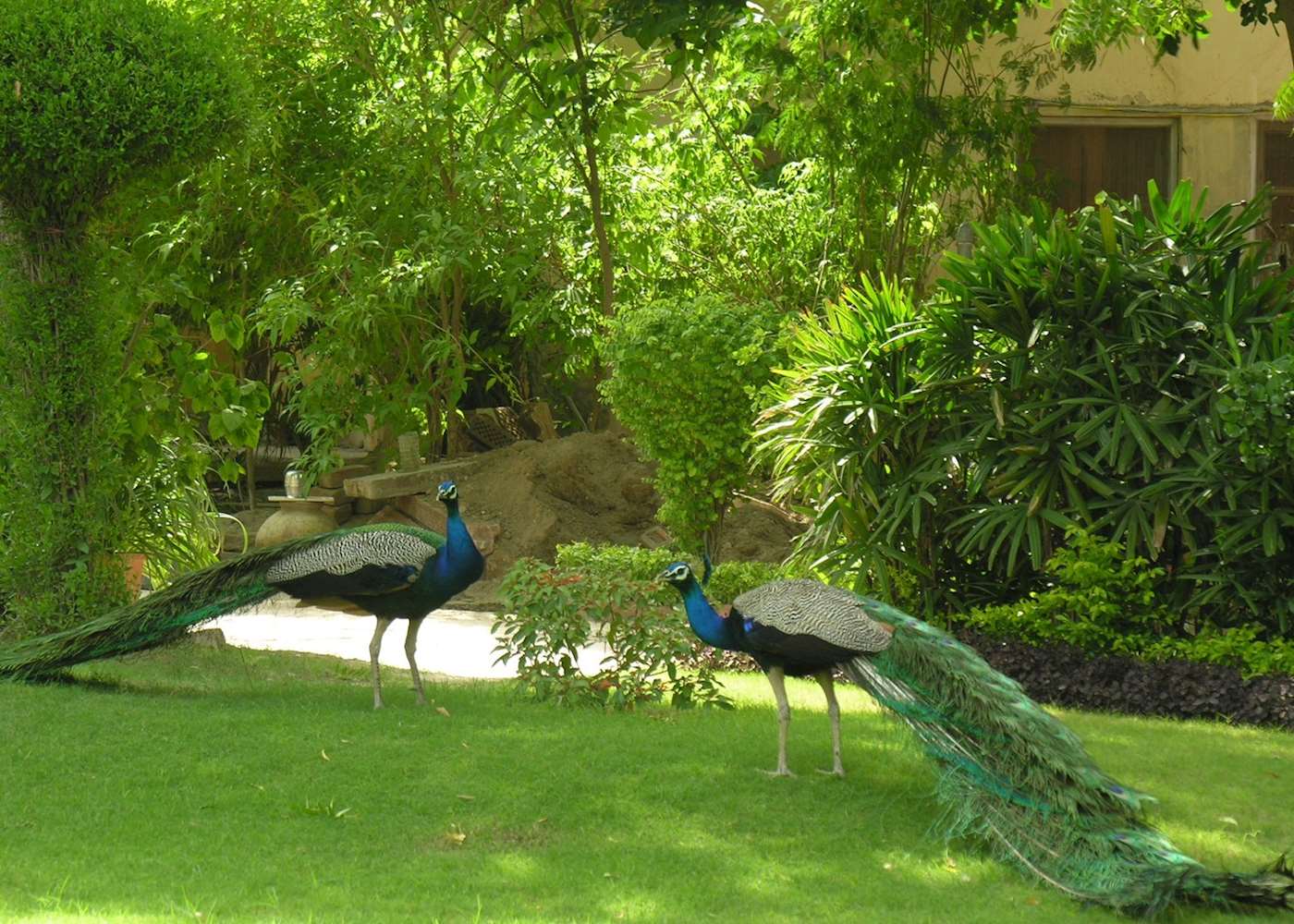 Rohet Garh | Hotels in Rohet | Audley Travel UK