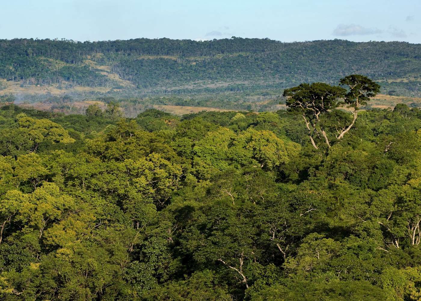 Ankarana Special Reserve, Madagascar | Audley Travel US