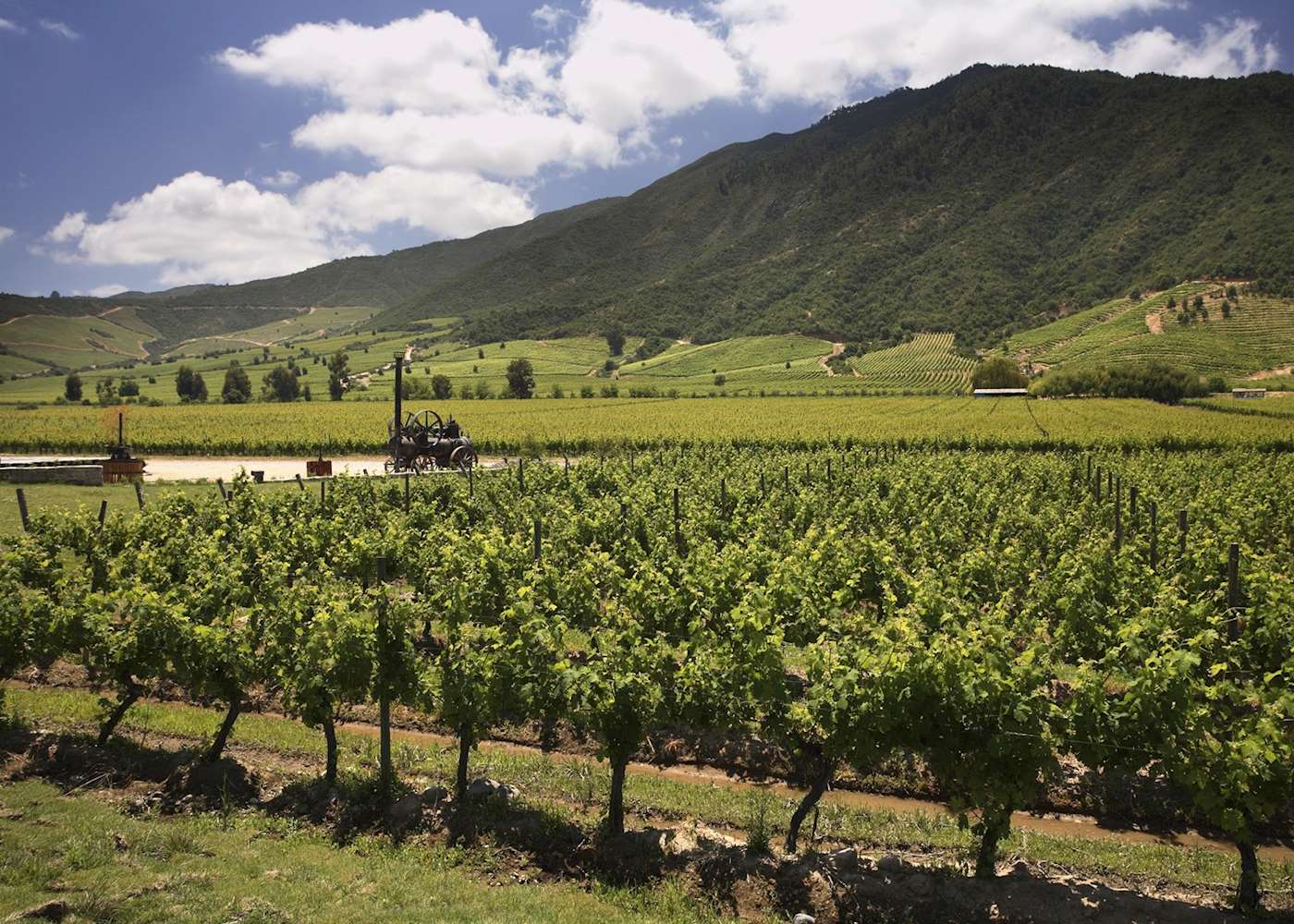 Visit Colchagua Valley on a trip to Chile | Audley Travel UK