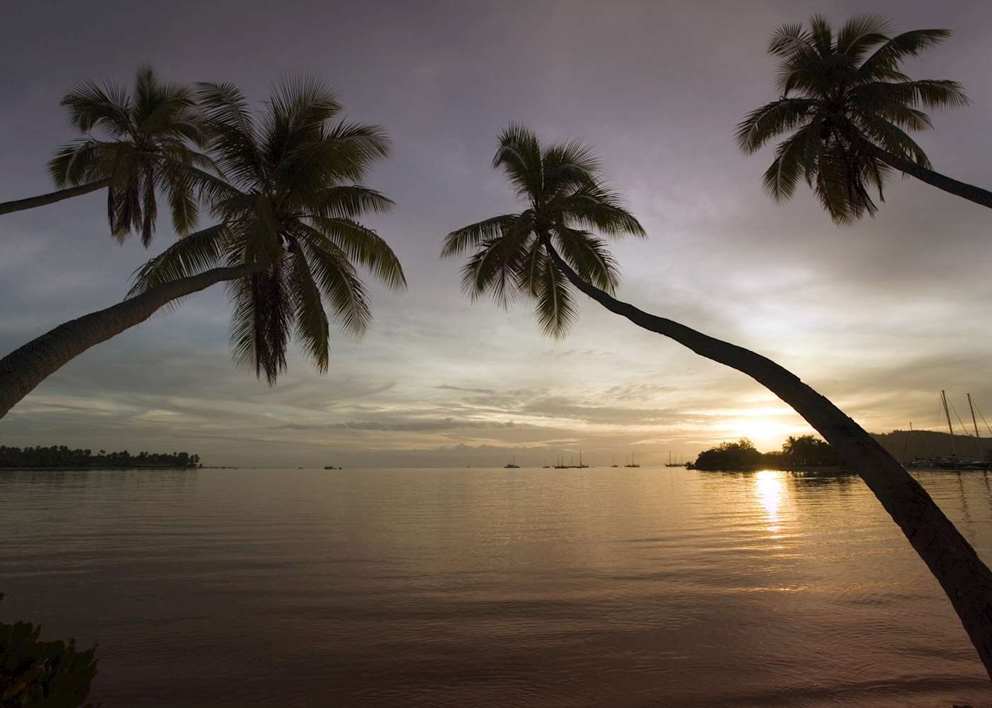 Visit Denarau Island and Port Denarau, Fiji | Audley Travel UK