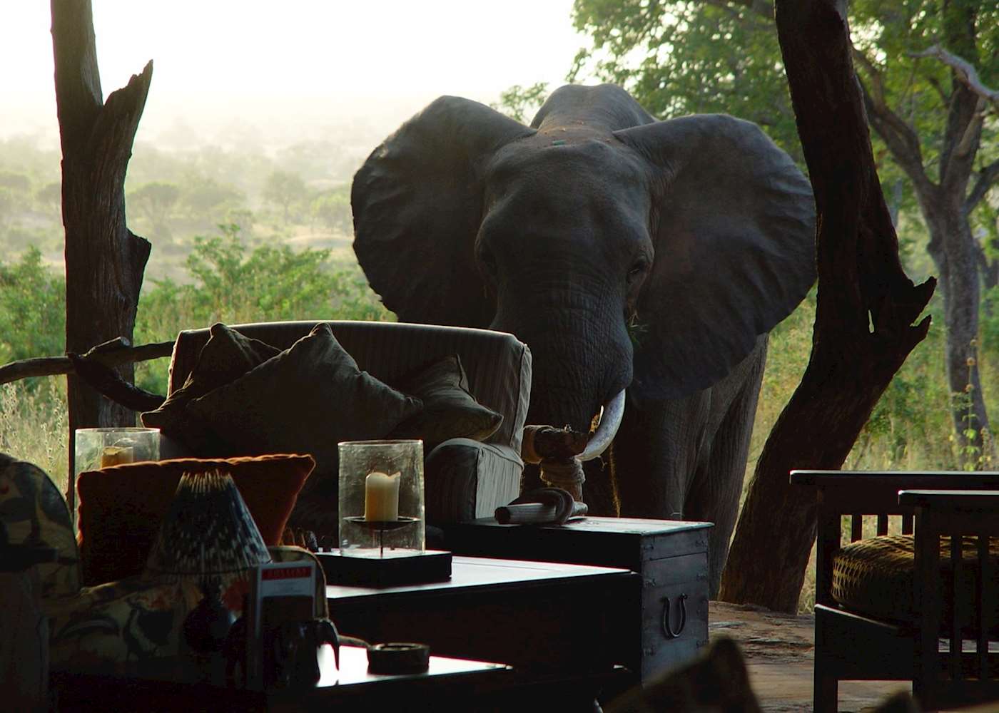Beho Beho | Nyerere National Park hotels | Audley Travel UK