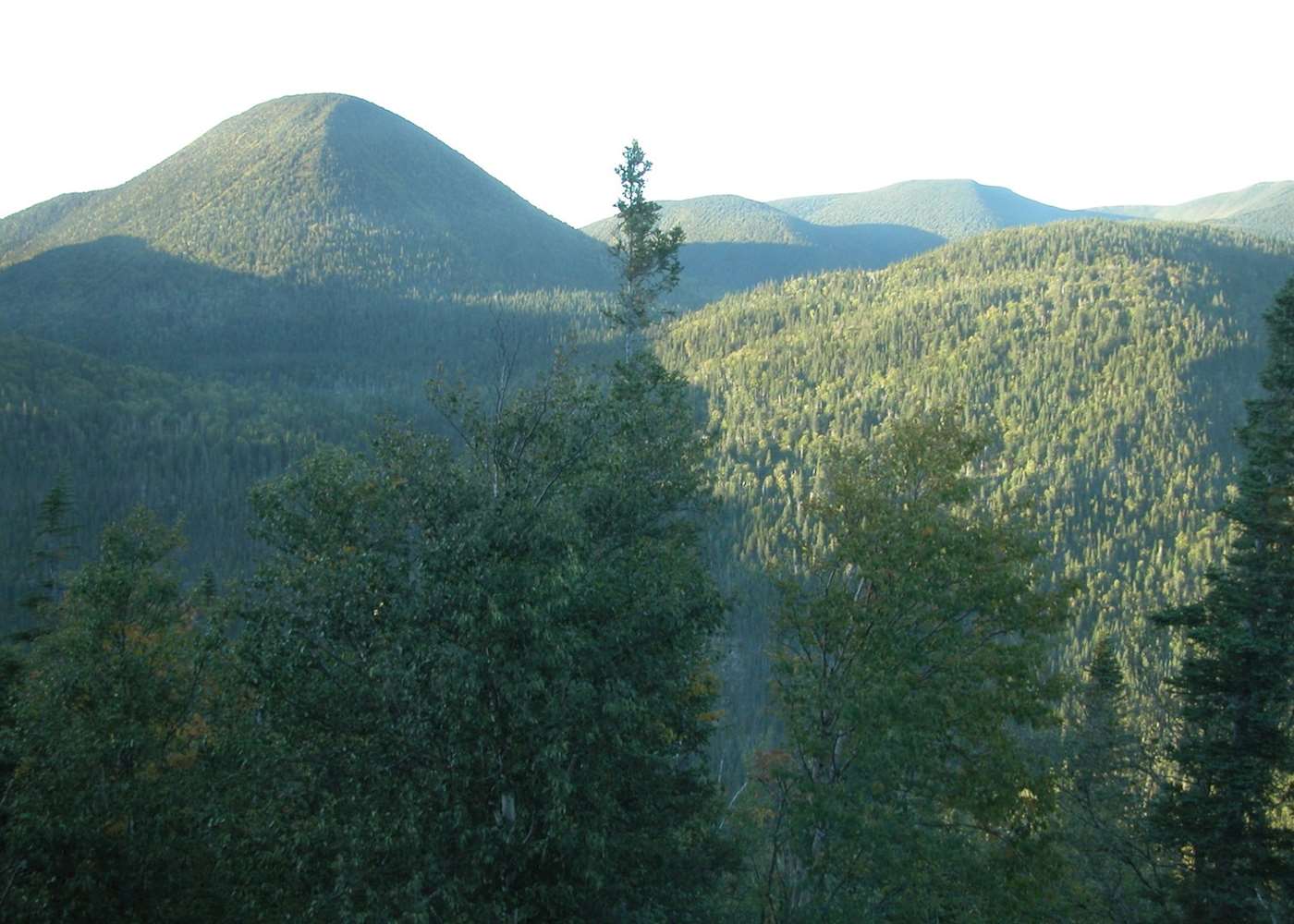 Chic-Chocs Mountain Lodge | Hotels in Canada | Audley Travel UK