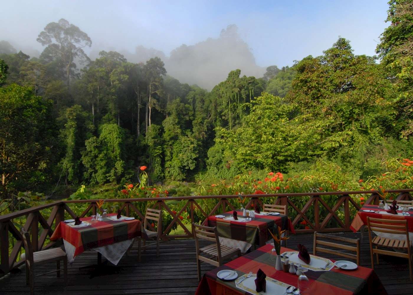 Borneo Rainforest Lodge | Hotels in Danum Valley | Audley Travel US
