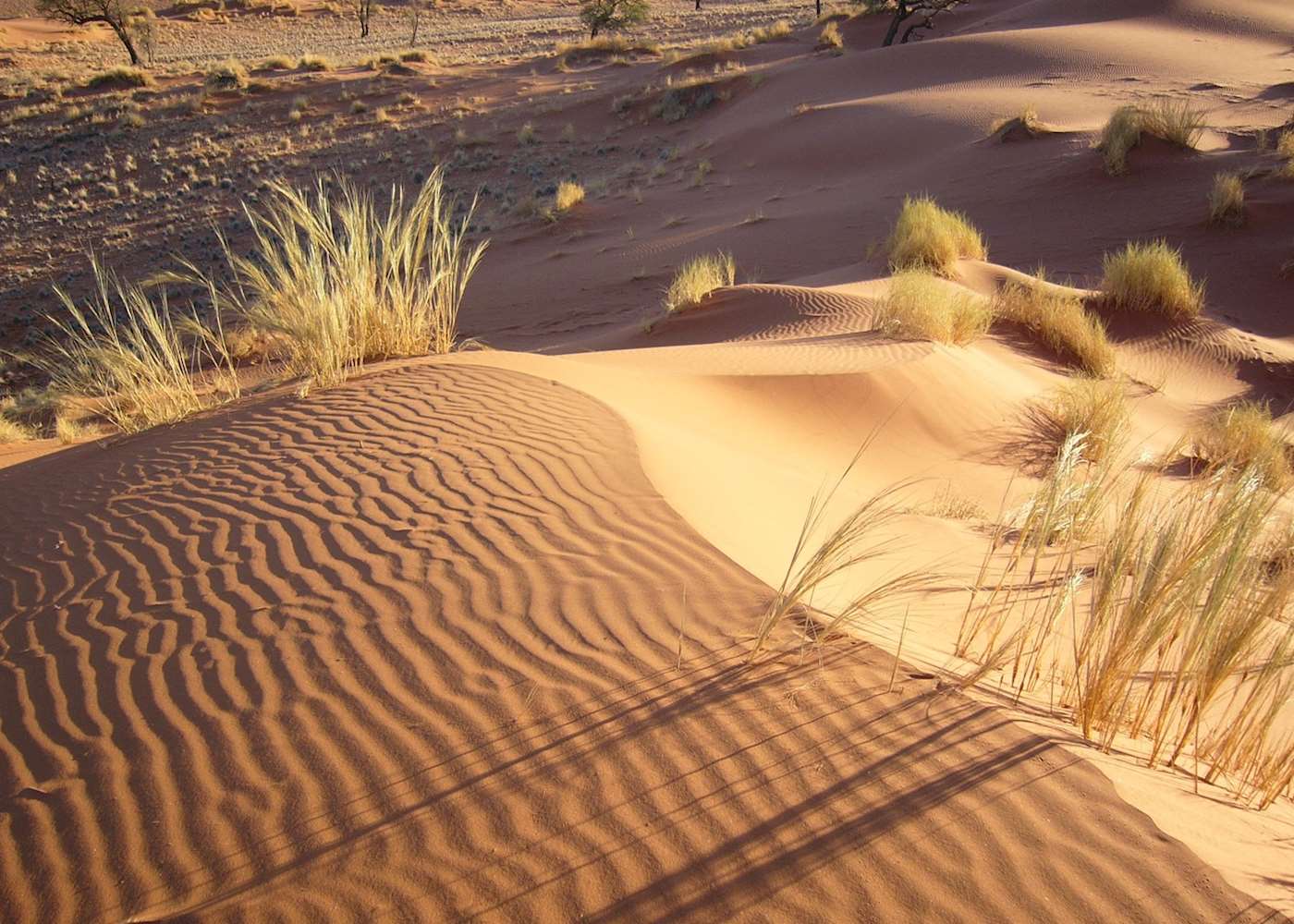 NamibRand Nature Reserve, Namibia | Tailor-made Trips | Audley Travel UK