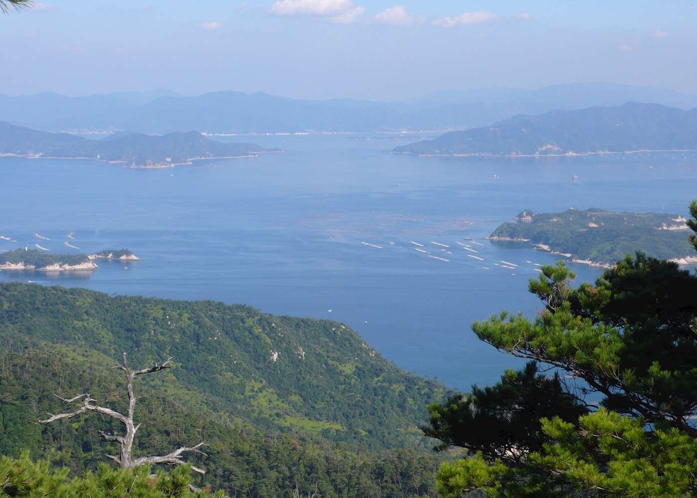 Visit Miyajima Island on a trip to Japan | Audley Travel US