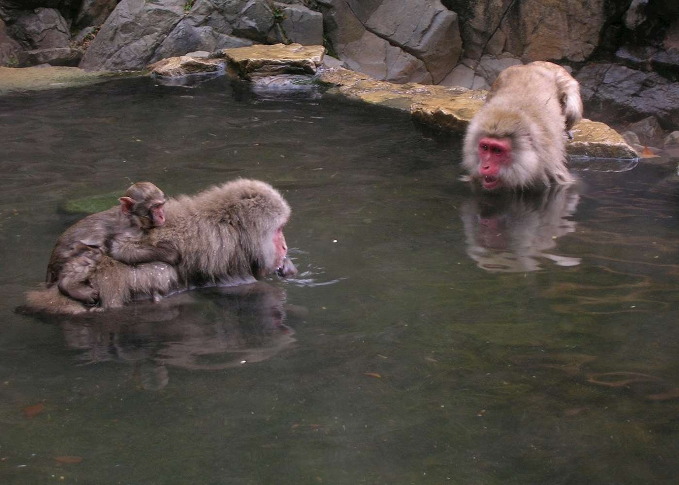 Visit Yudanaka on a trip to Japan | Audley Travel UK