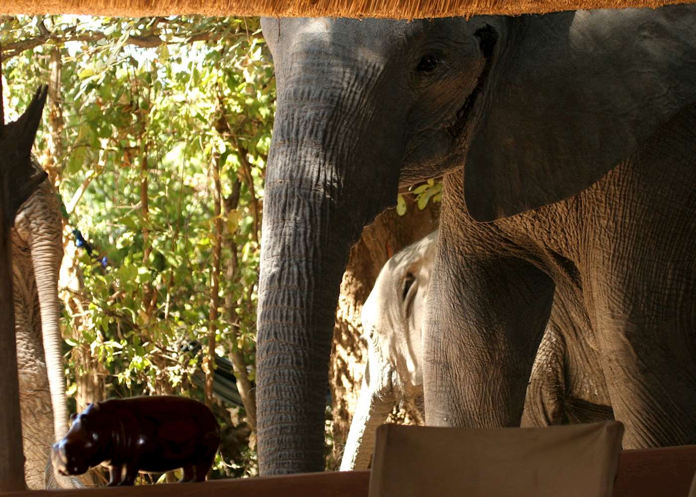 Kaingo | South Luangwa National Park | Audley Travel US