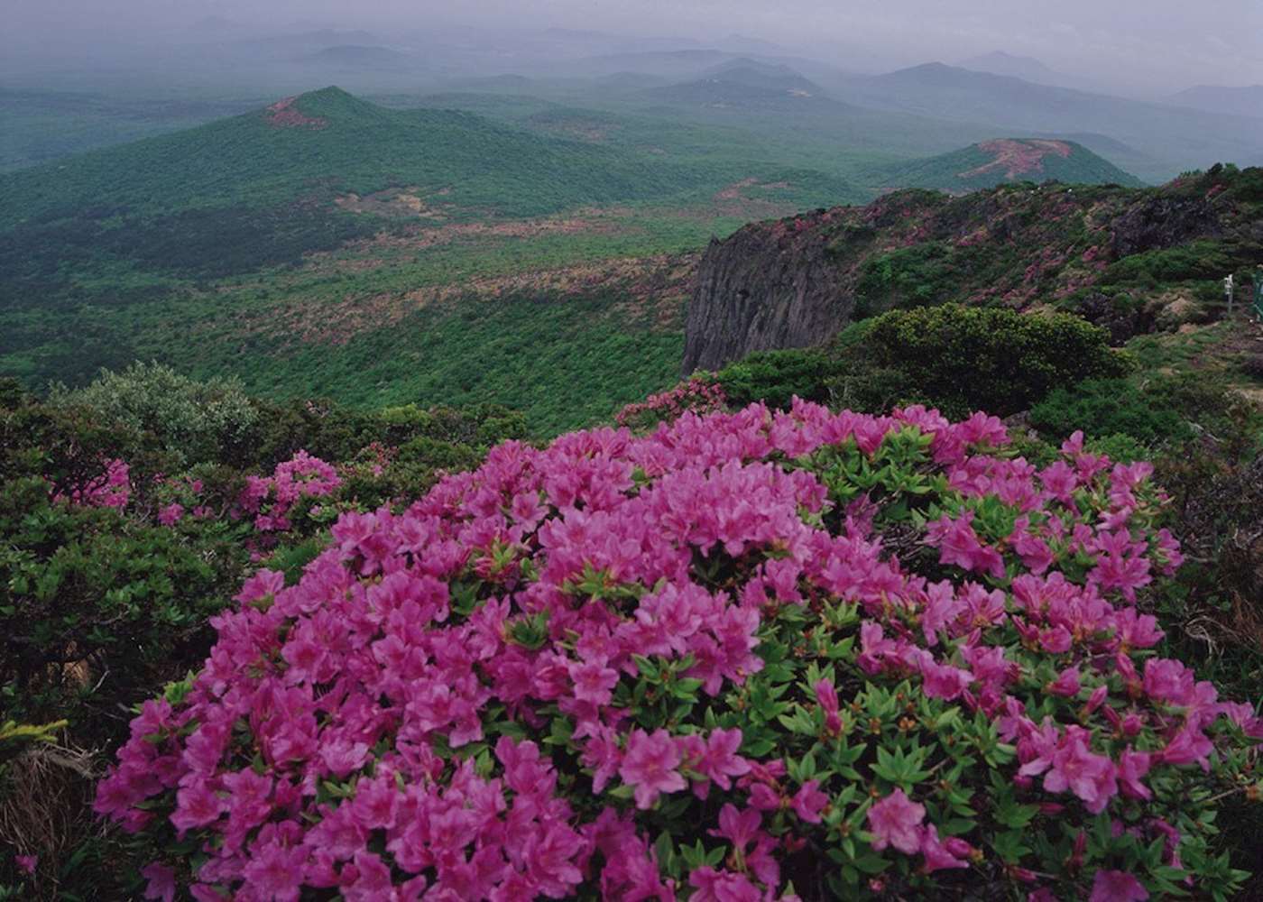 Visit Jeju island, South Korea Default Theme | Audley Travel US