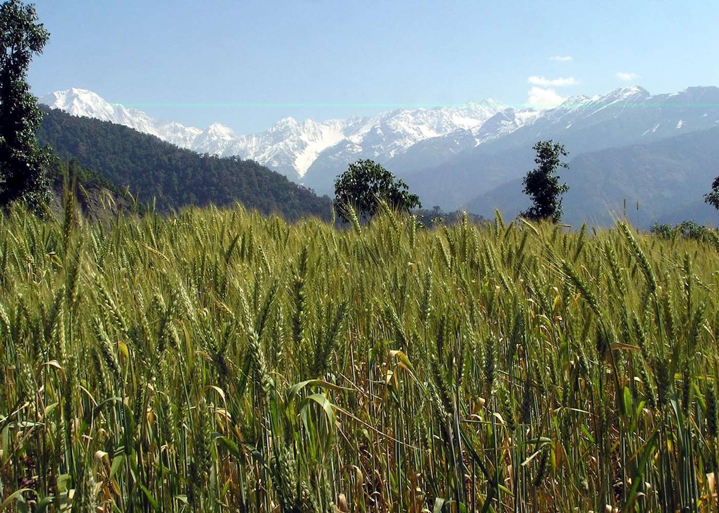 Visit Almora on a trip to India Default Theme | Audley Travel UK