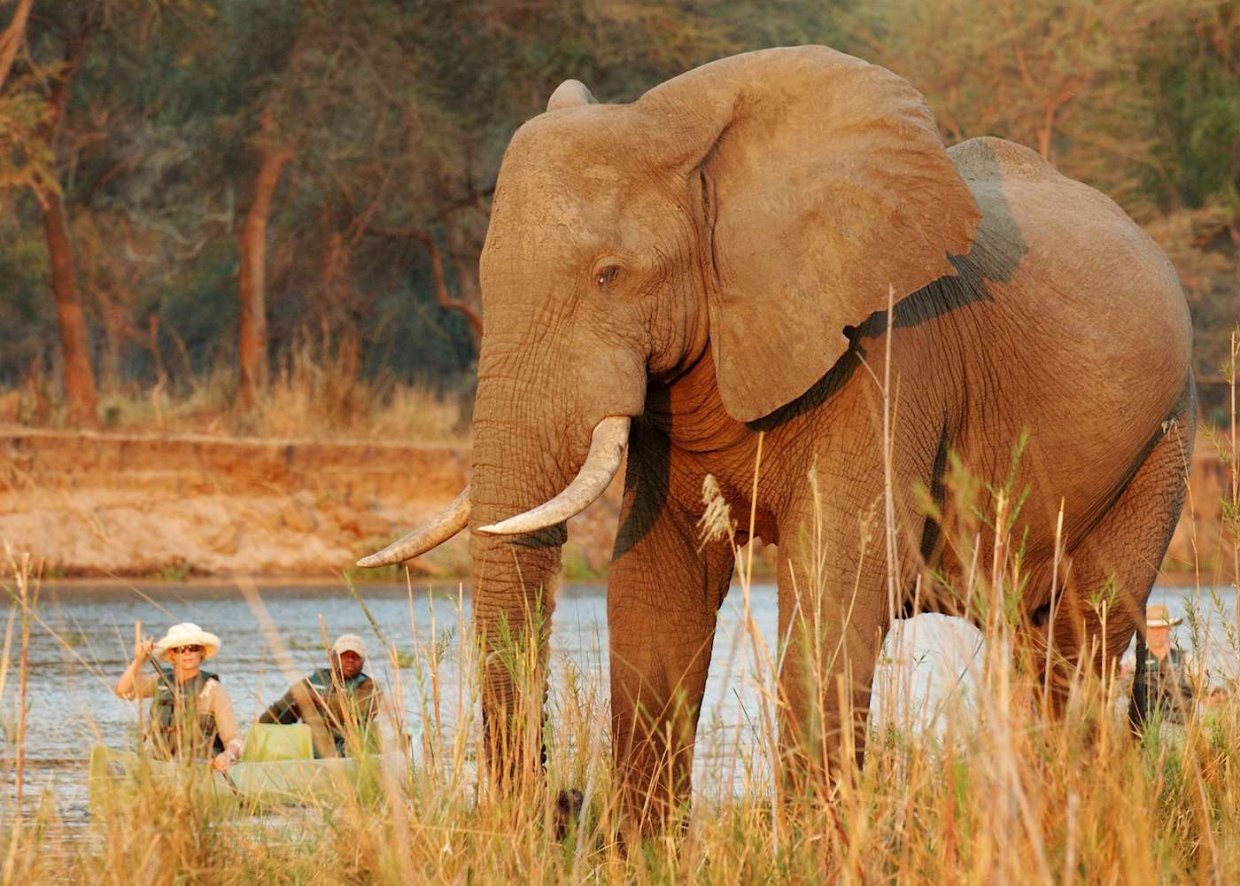 Old Mondoro Bush Camp | Audley Travel US