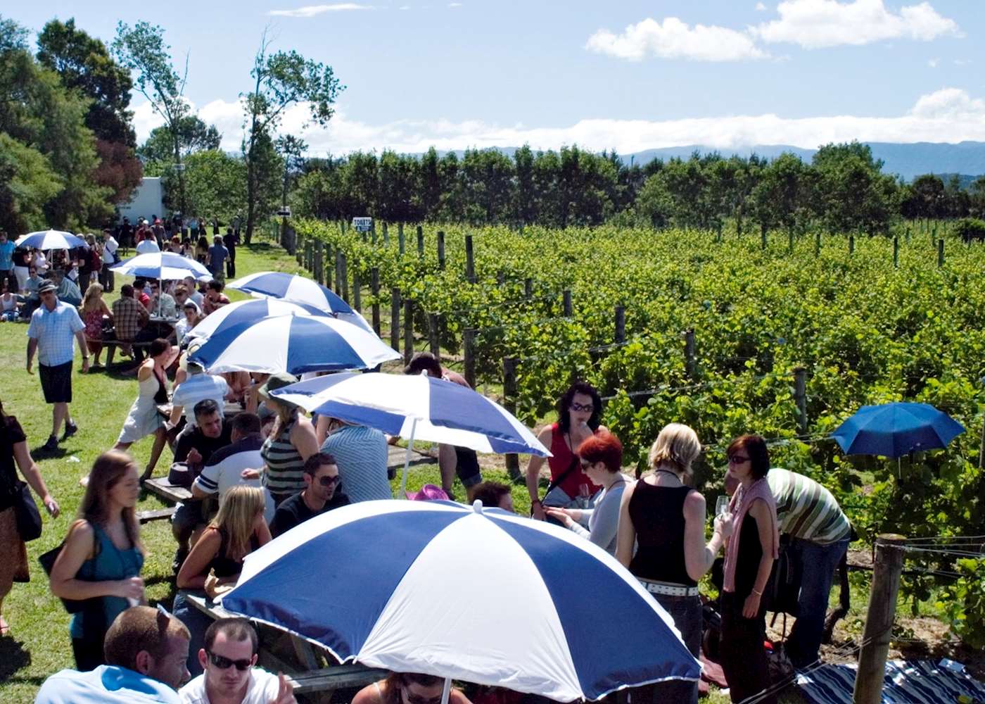 Visit Martinborough, New Zealand Default Theme | Audley Travel UK