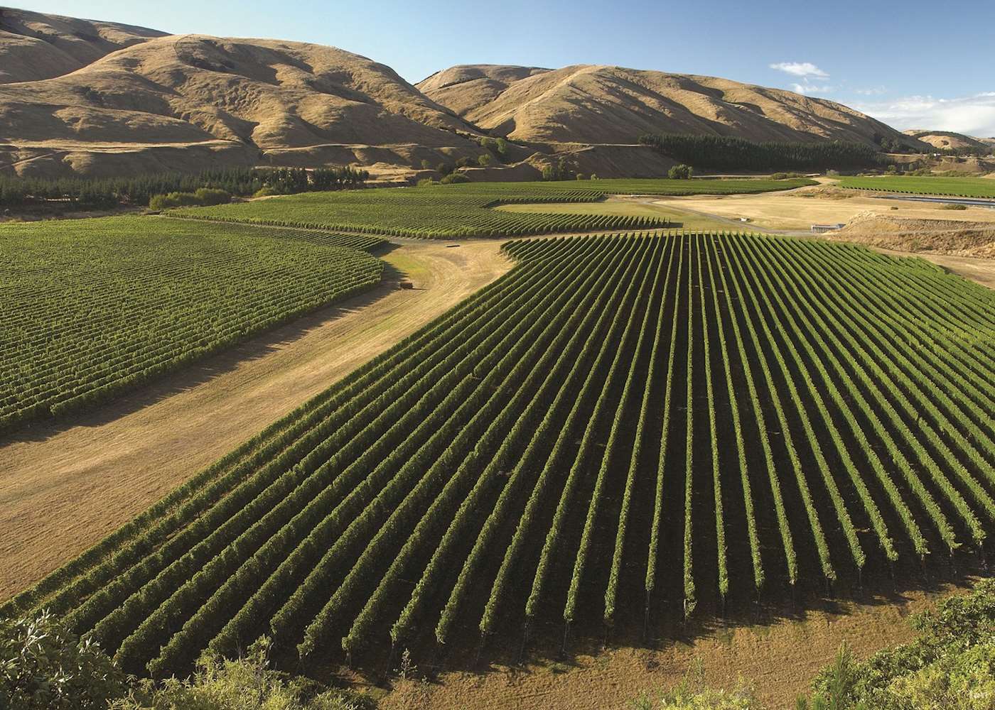 Visit Wairarapa & surrounds, New Zealand | Audley Travel UK