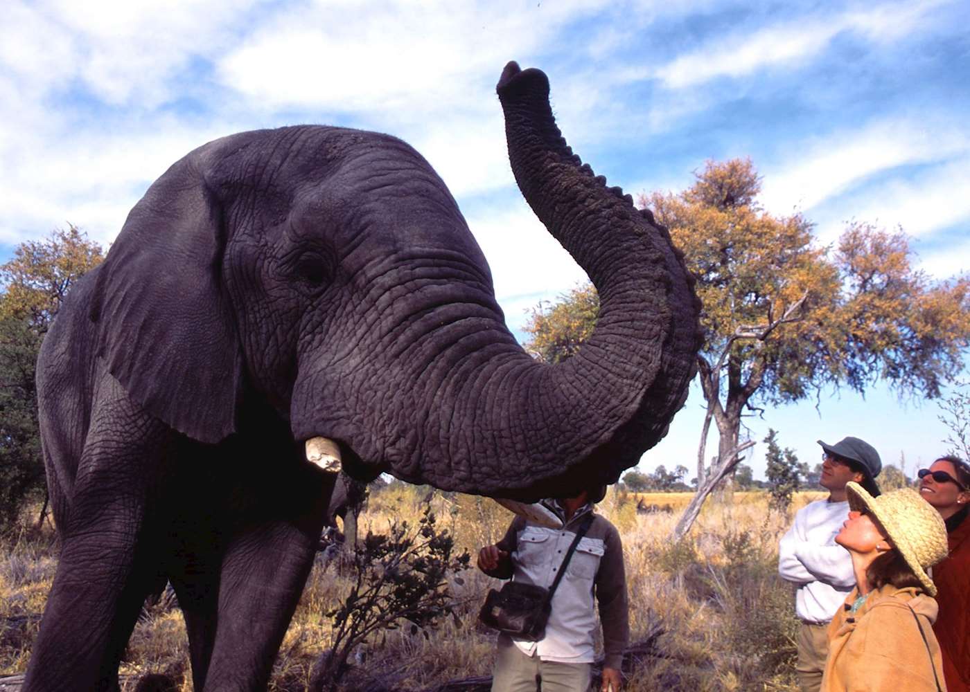 Visit Stanley's Concession | Tailor-Made Vacations | Audley Travel