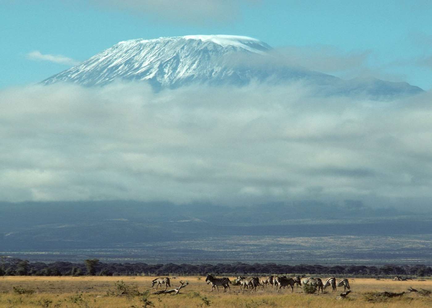 Amboseli National Park, Kenya | Tailor-Made Trips | Audley Travel UK