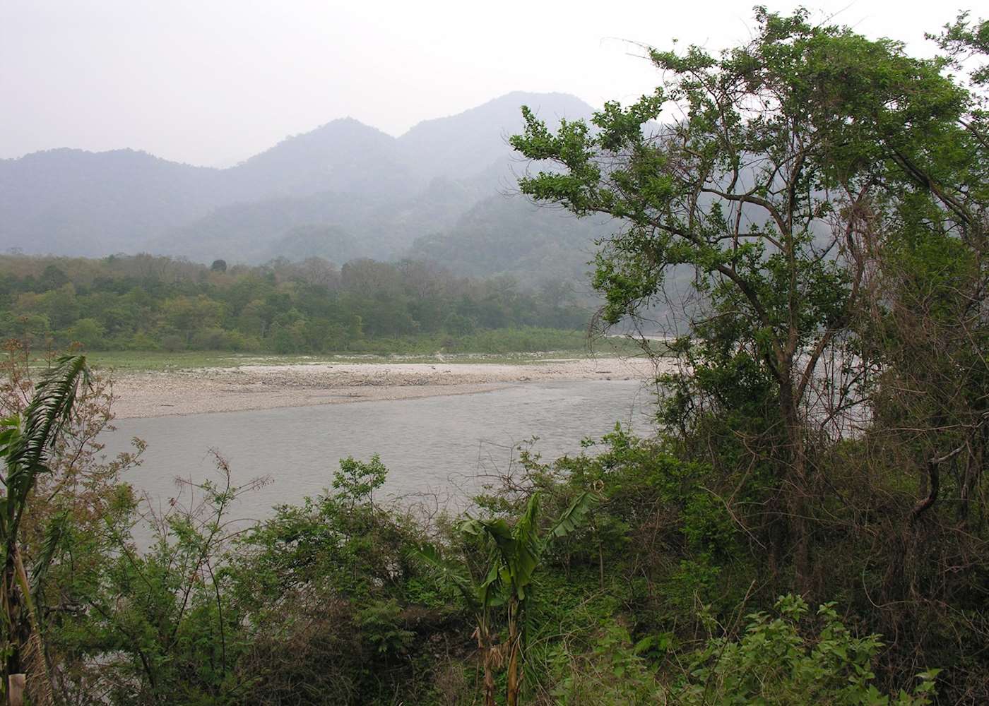 Visit Manas National Park on a trip to India | Audley Travel US