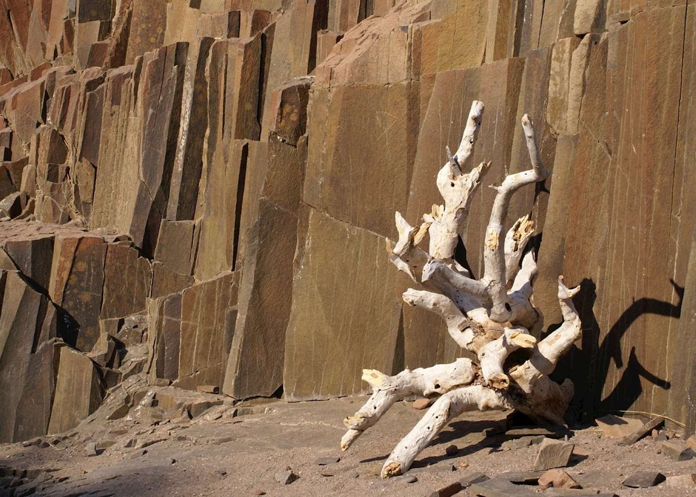 Visit Kaokoland, Namibia | Tailor-made Trips | Audley Travel UK