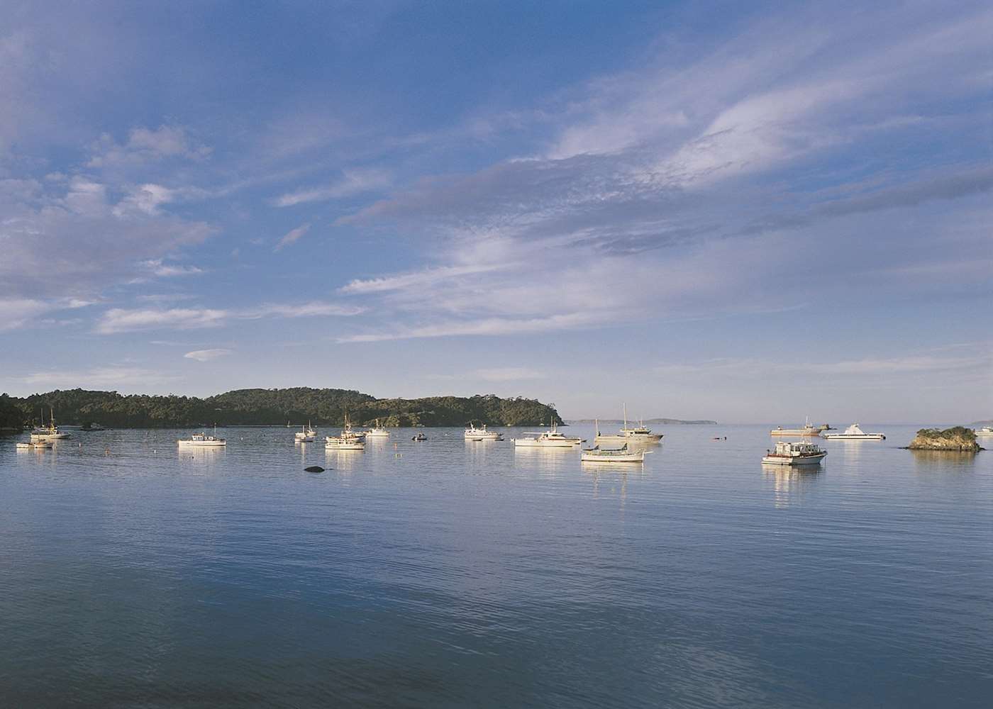 Visit Stewart & Ulva Islands, New Zealand | Audley Travel US