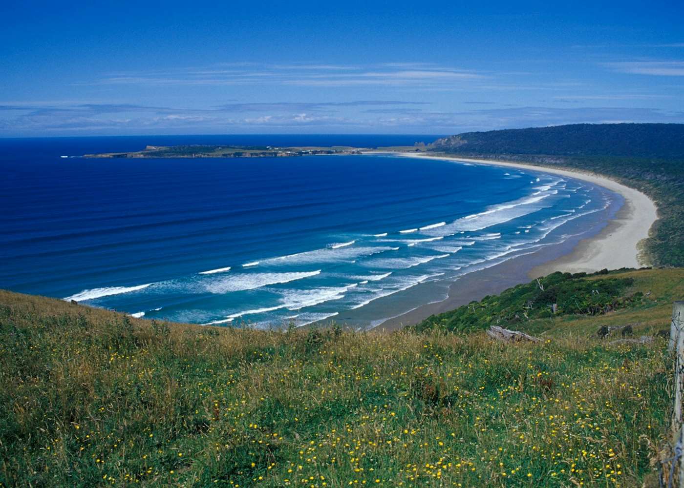 Visit The Catlins on a trip to New Zealand | Audley Travel US