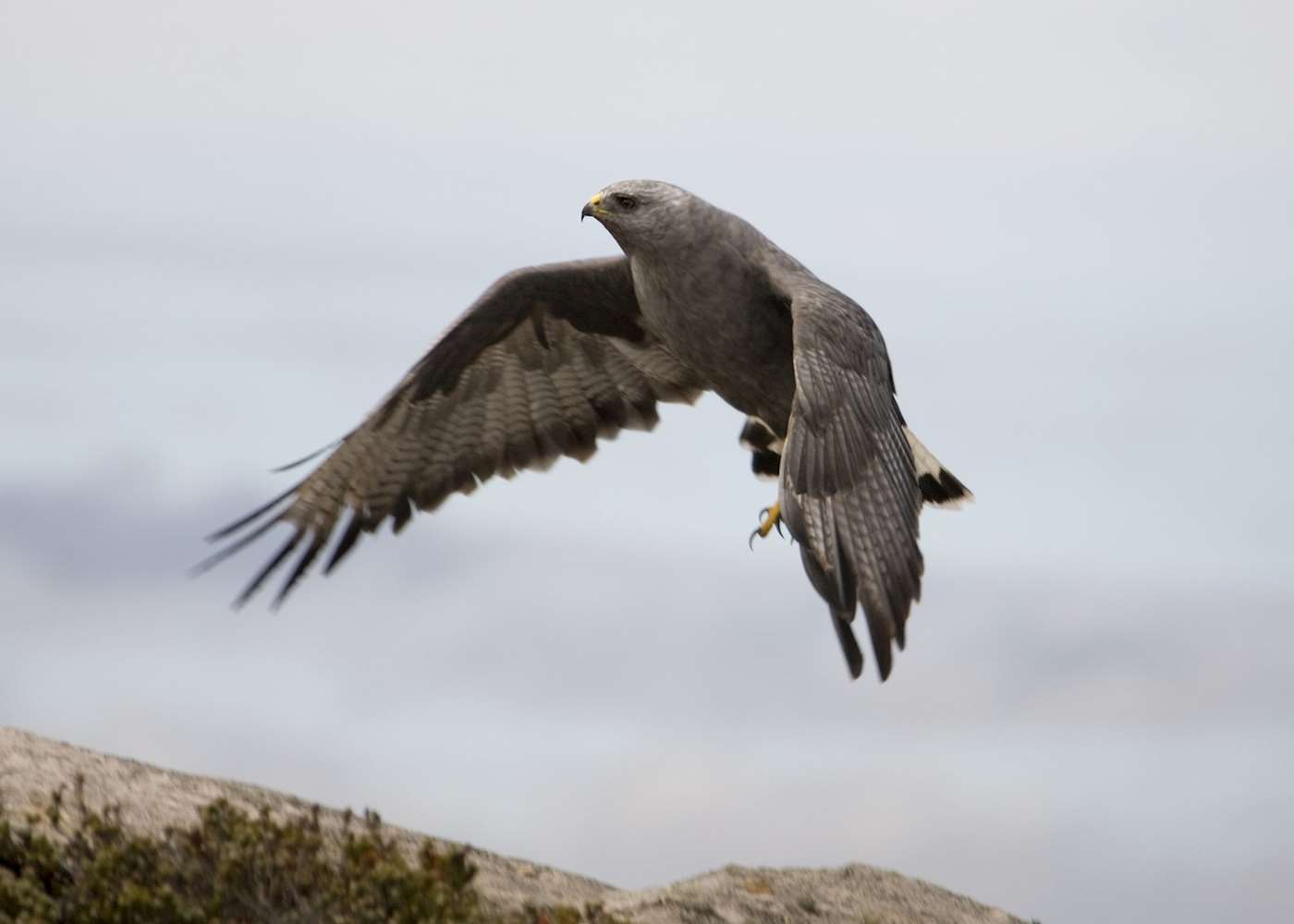 Visit Pebble Island, The Falkland Islands | Audley Travel UK