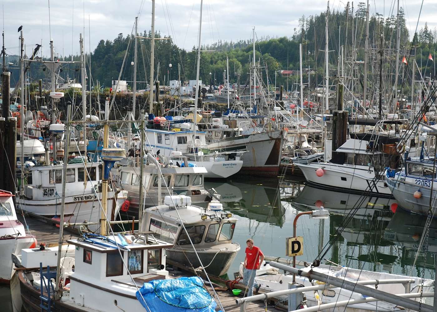 Visit Port Hardy, Canada Default Theme | Audley Travel UK