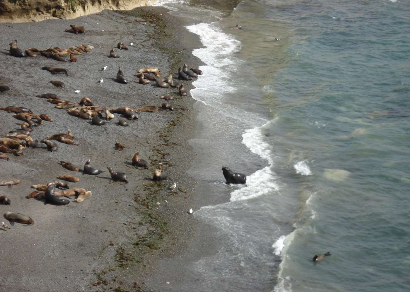 Visit Península Valdés, Argentina Default Theme | Audley Travel US