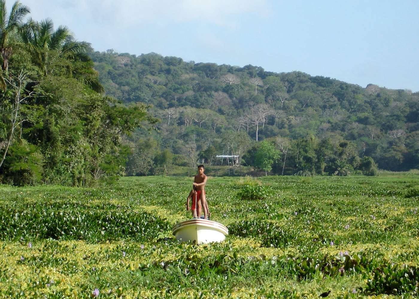 Visit Darién on a trip to Panama Default Theme | Audley Travel UK