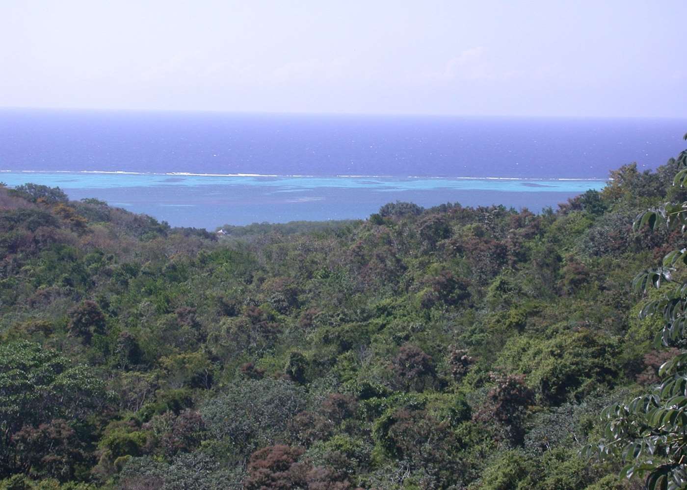 Visit The Bay Islands, Honduras Default Theme | Audley Travel US