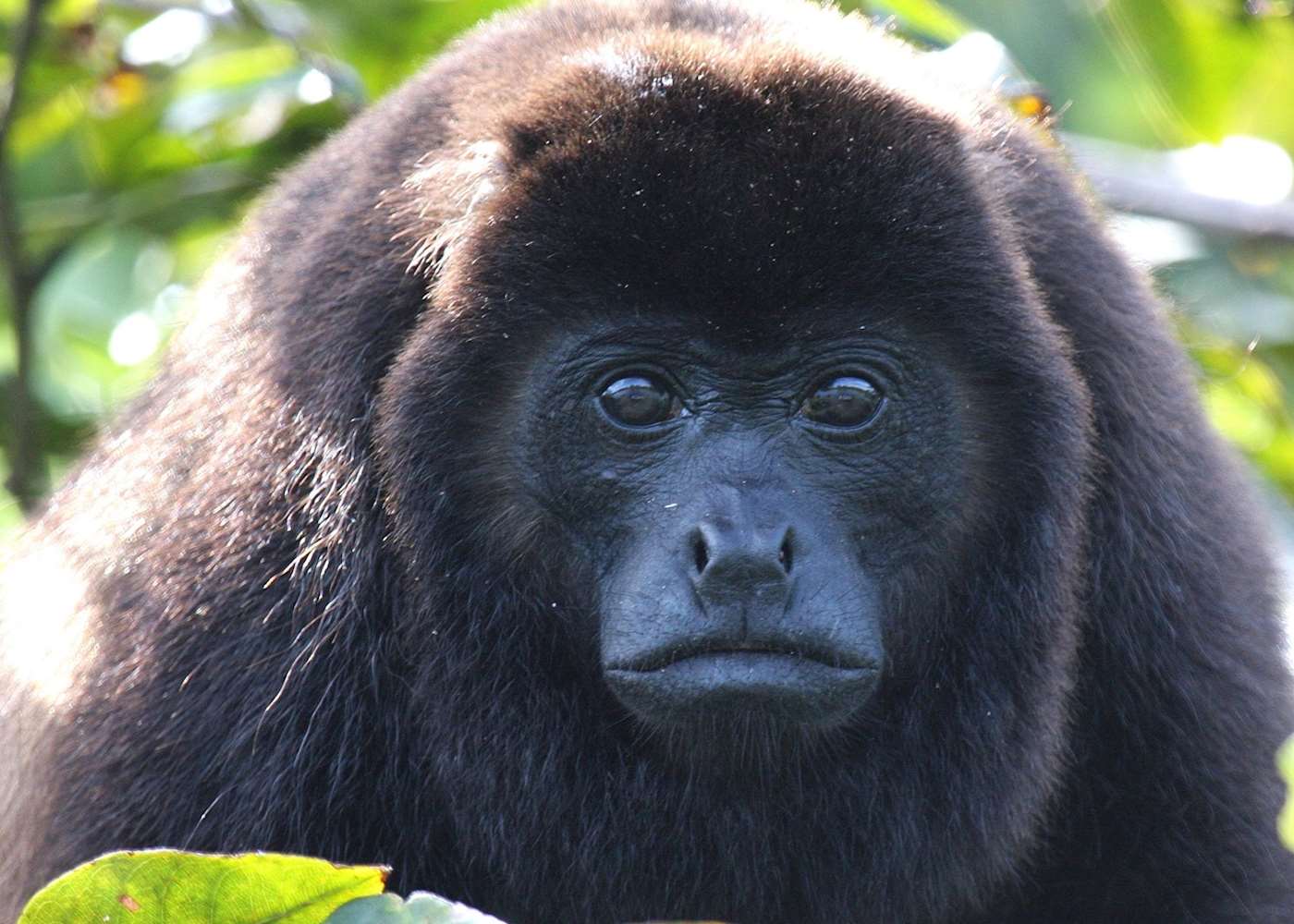 Honduras Holidays 2025 & 2026 - Tailor-Made from Audley Travel UK